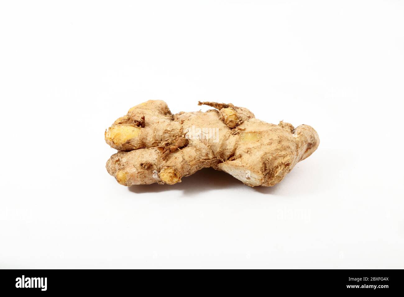 Fresh ginger root or rhizome isolated on white background Stock Photo ...
