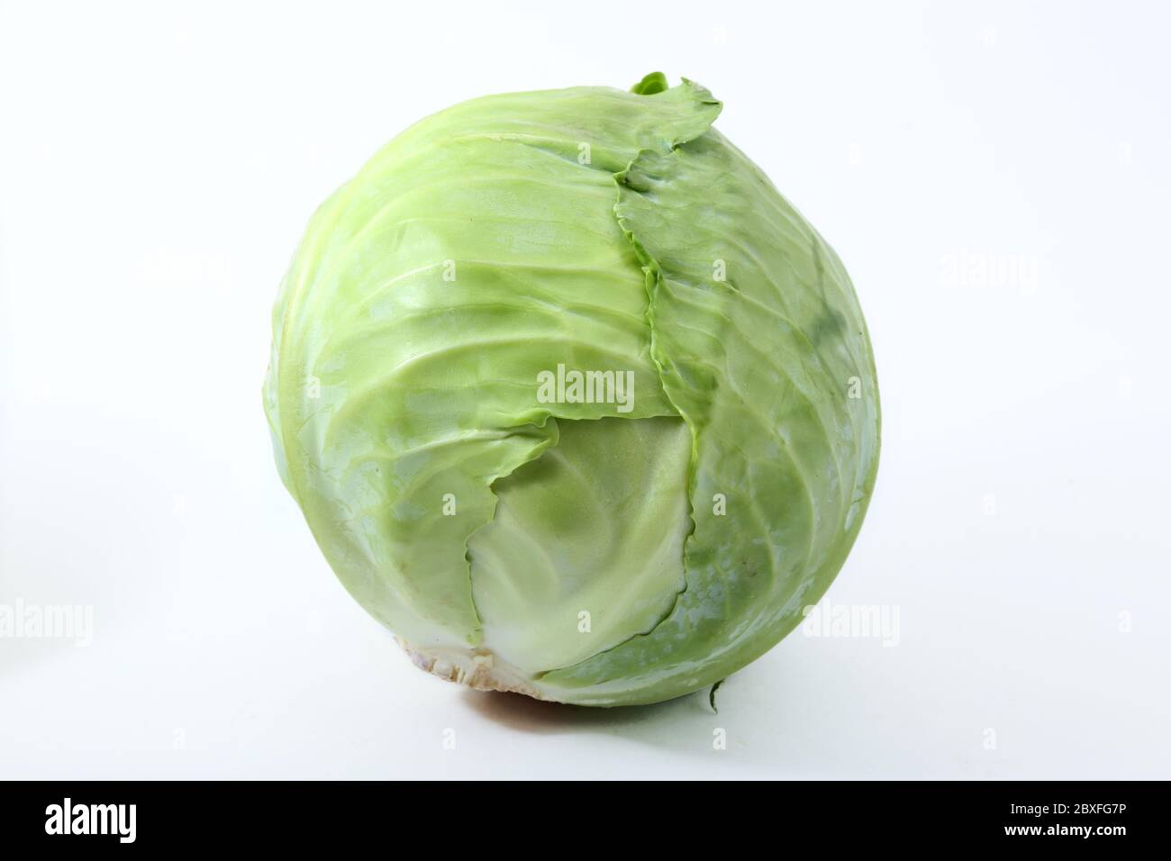 One Cabbage isolated on white background Stock Photo - Alamy