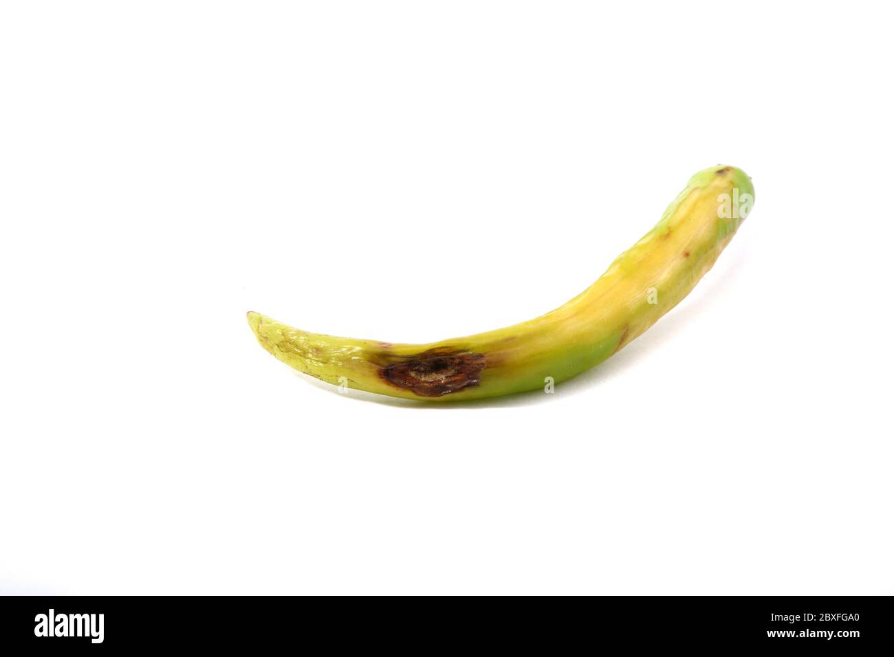 Rotten chili hi-res stock photography and images - Alamy