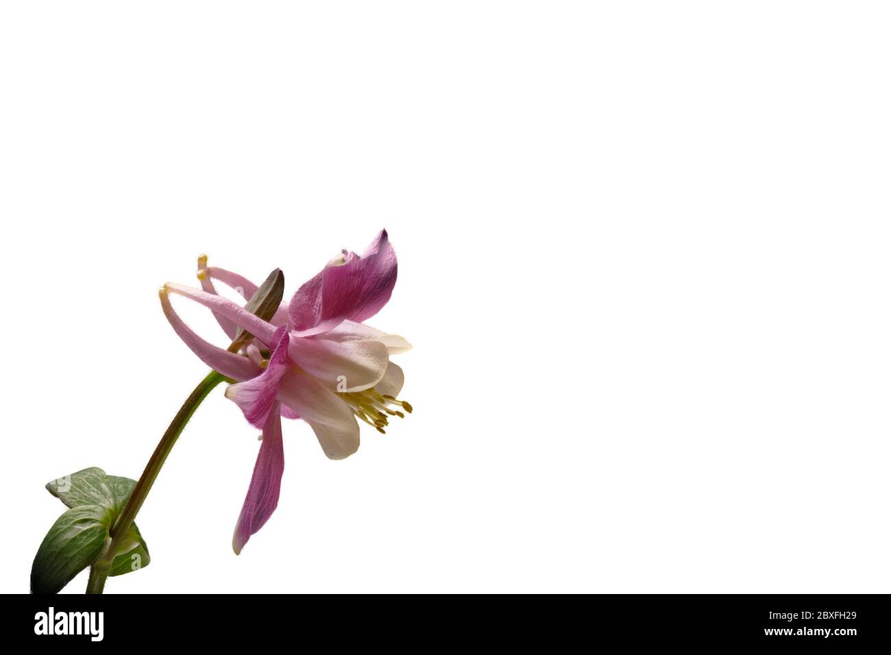 Left to nature Cut Out Stock Images & Pictures - Alamy