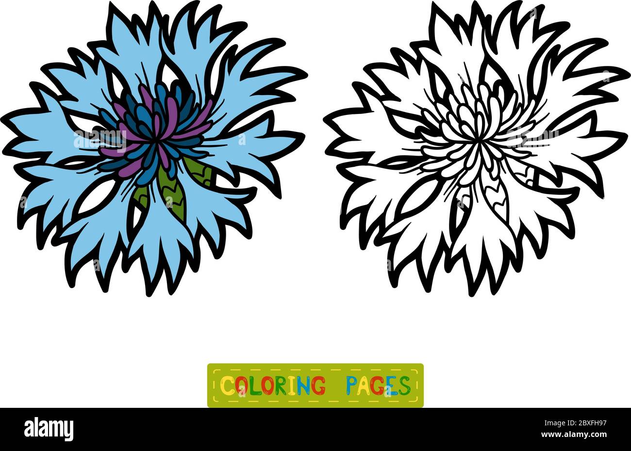 Coloring book for children, flower Cornflower Stock Vector Image & Art ...