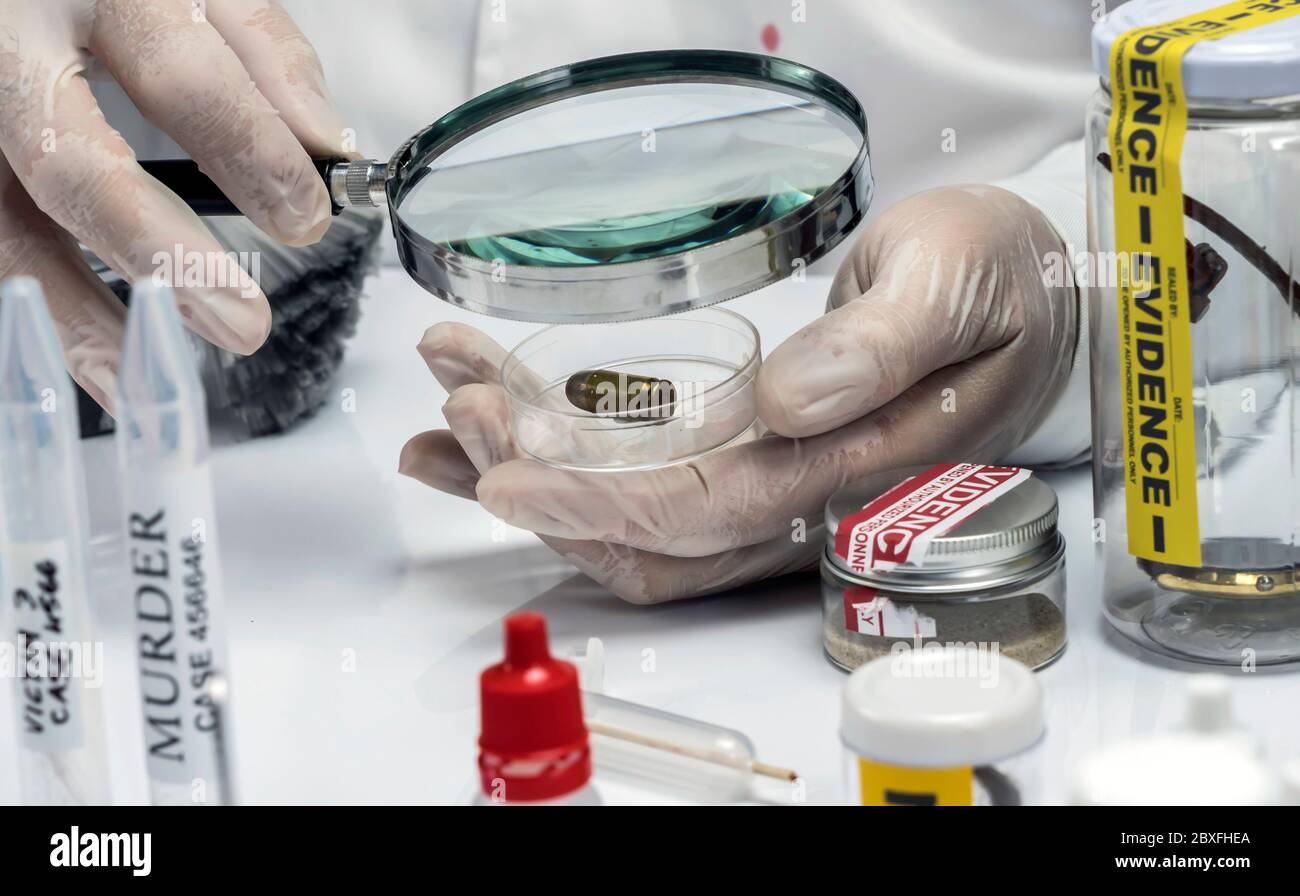 Scientific police examining a bullet cap in ballistic Laboratory ...
