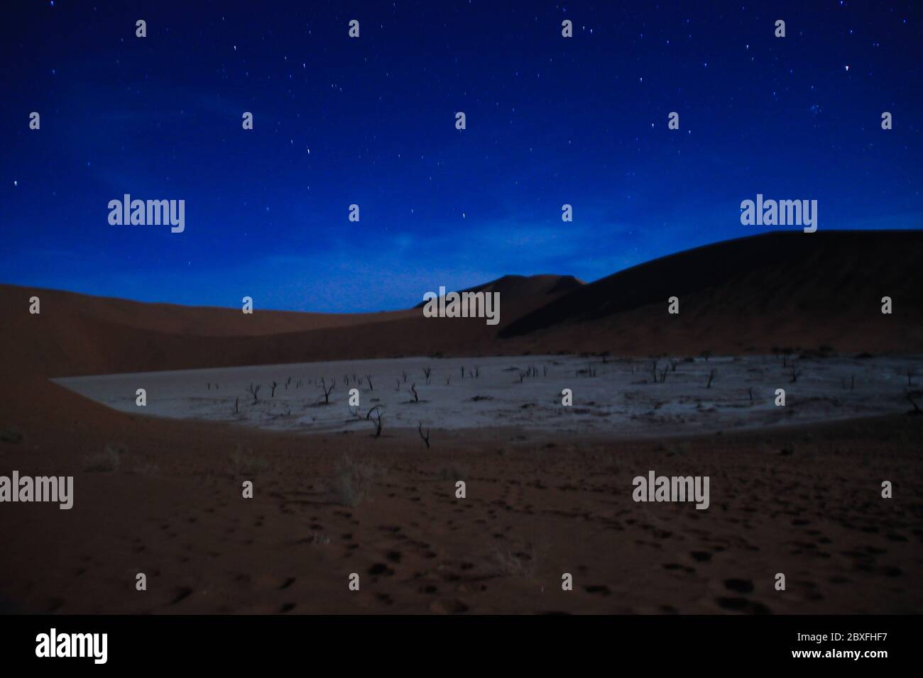The Milky Way and the night sky over the Namib Desert, Sosusfleu Park ...