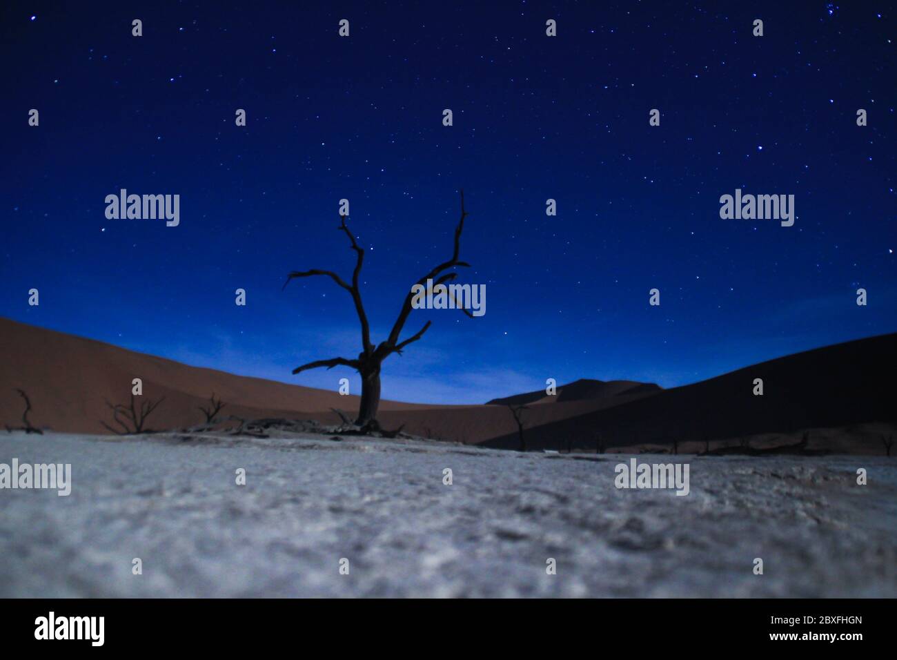 The Milky Way and the night sky over the Namib Desert, Sosusfleu Park ...