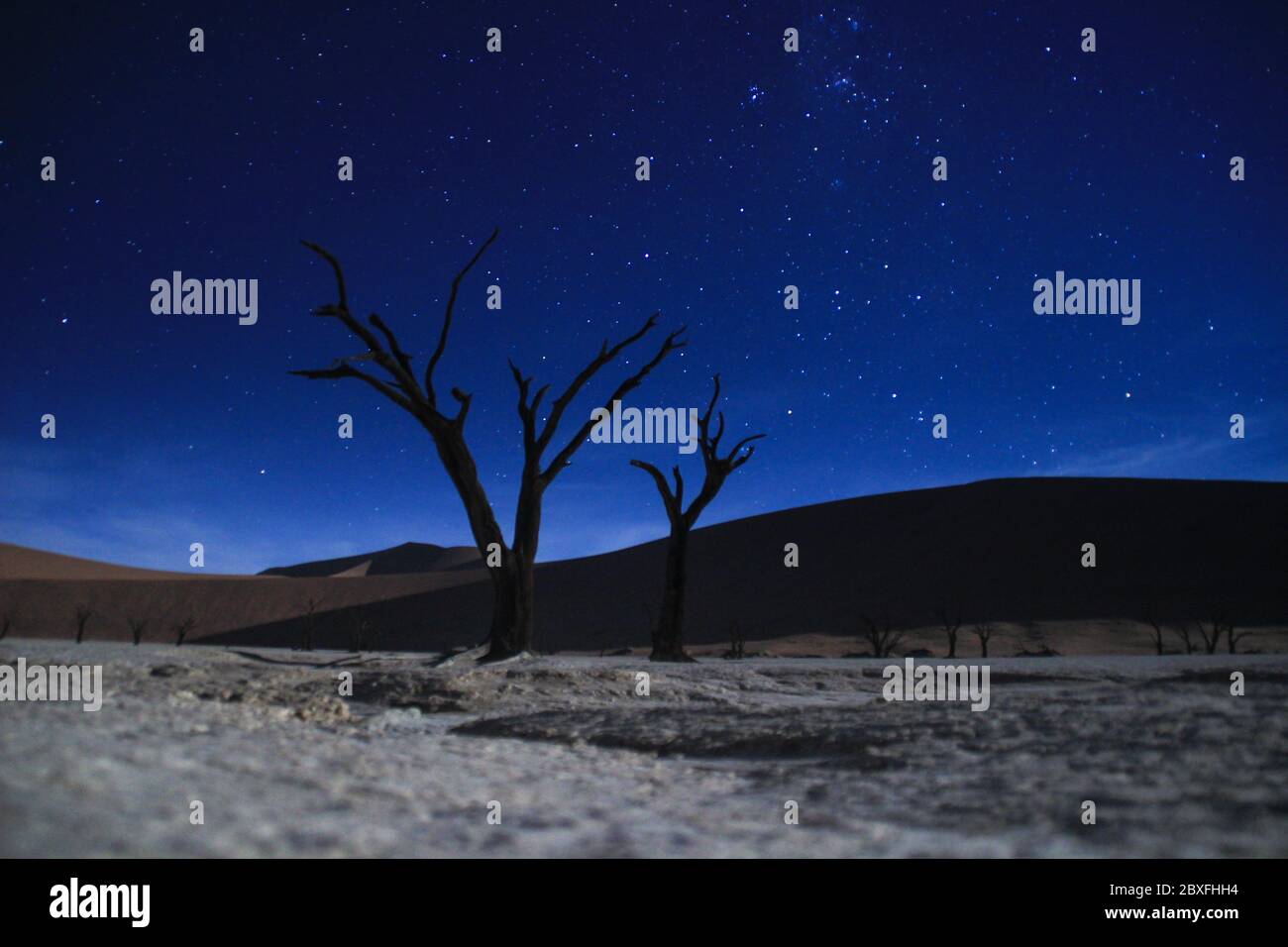 The Milky Way and the night sky over the Namib Desert, Sosusfleu Park ...