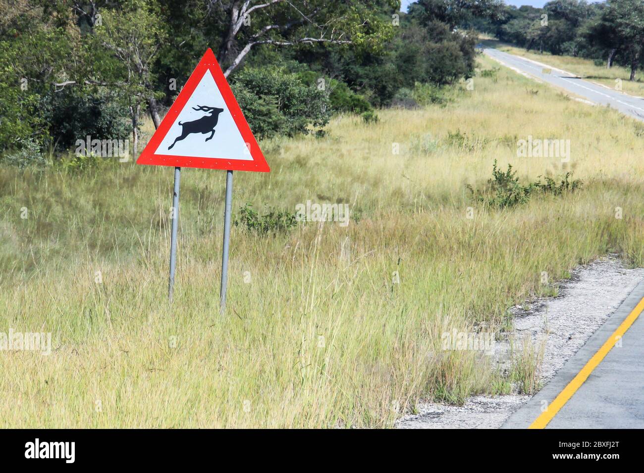 Antelope caution sign hi-res stock photography and images - Alamy