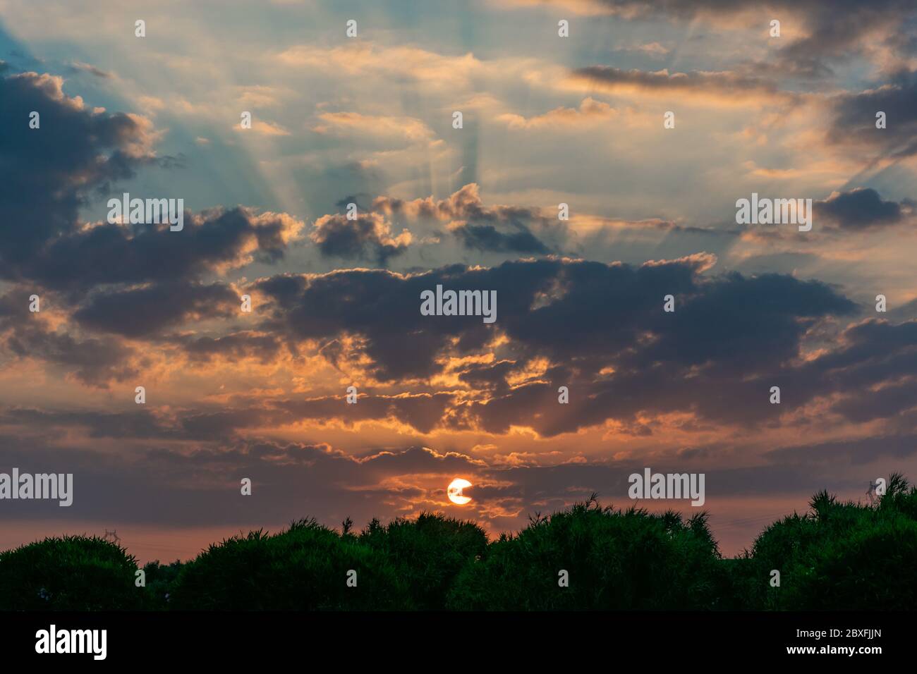 Dramatic sunset with clouds and reflections of the sun on some bushes ...