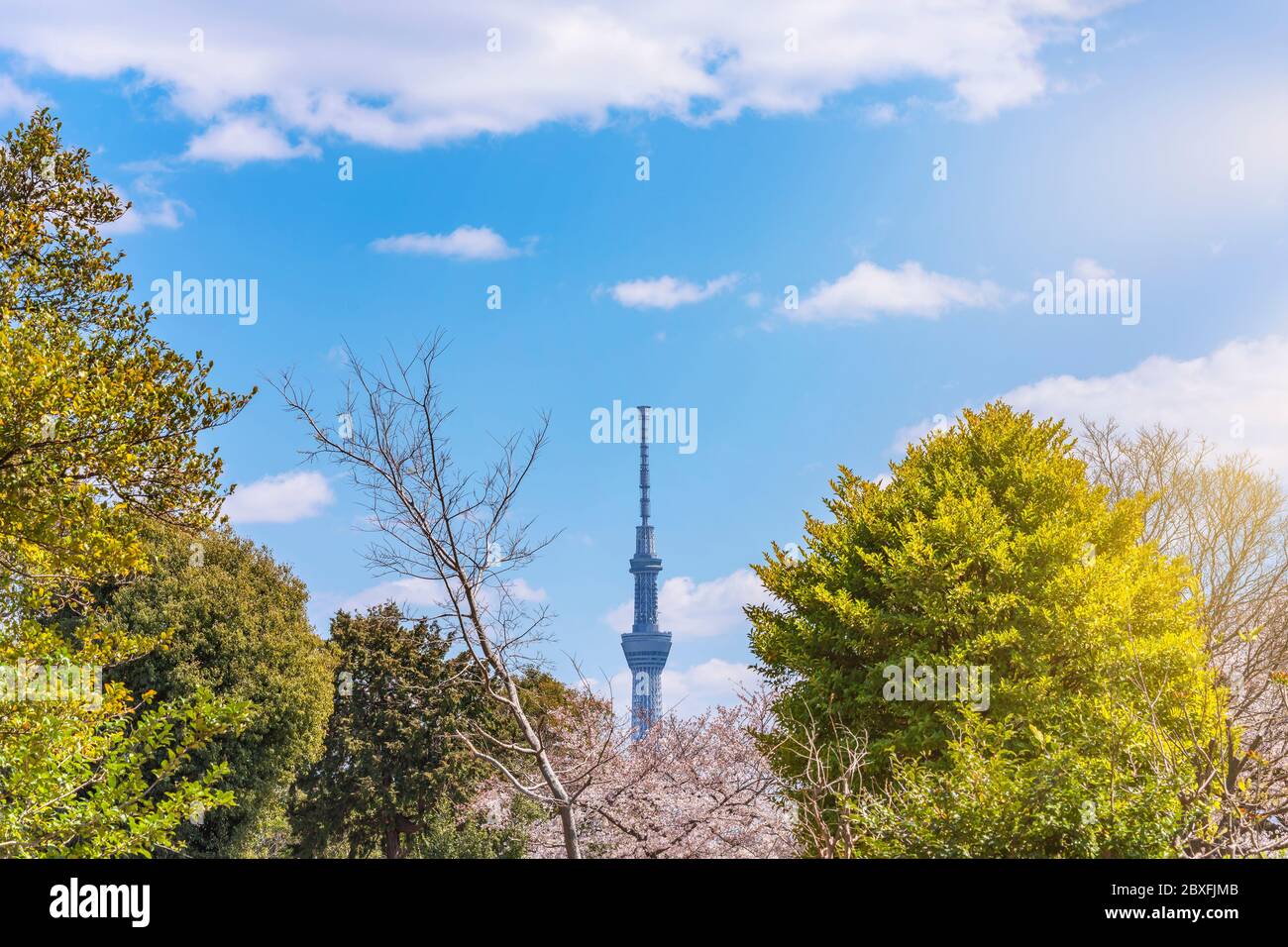 tokyo, japan - march 31 2020: Japan tallest tower Tokyo Skytree ...