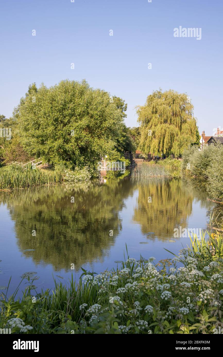 cobham mill and mill pool on the river mole in cobham surrey Stock ...