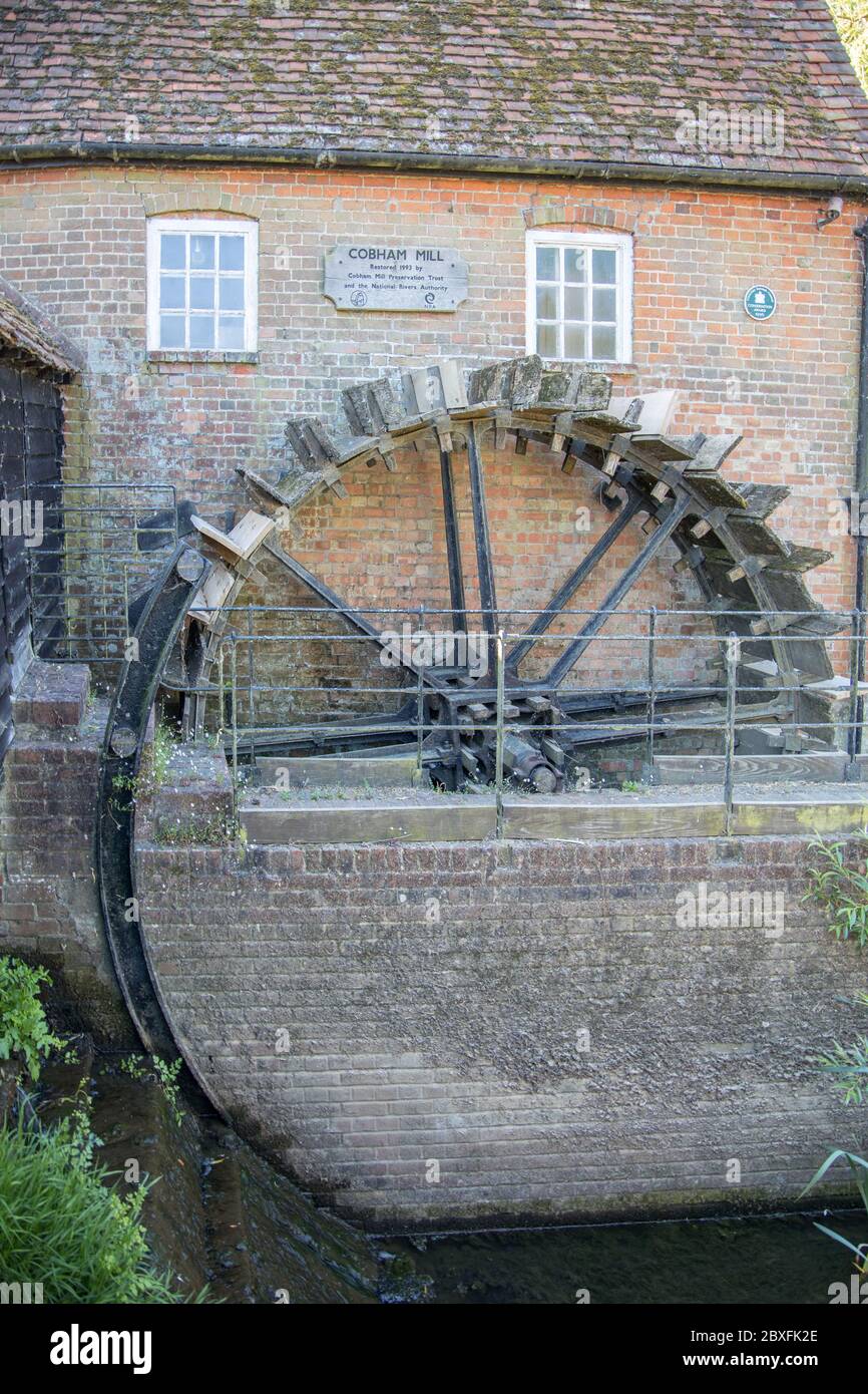 water wheel at cobham mill on the river mole in cobham surrey Stock ...