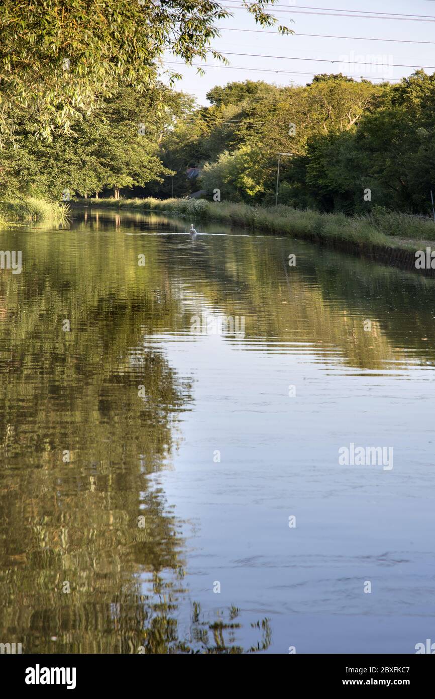 River wey weybridge hi-res stock photography and images - Alamy