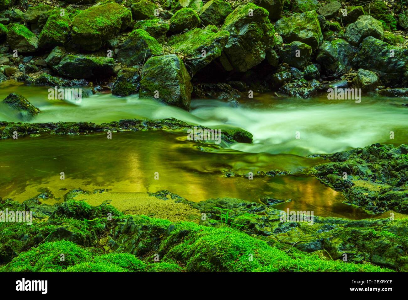 Forest stream running over mossy rocks. Filtered image: colorful effect ...