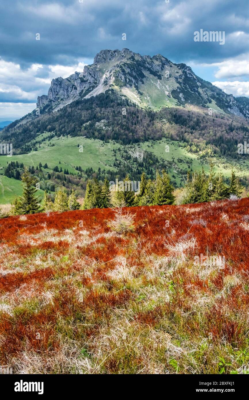 Big Rozsutec hill from Osnica, Little Fatra, Slovak republic ...