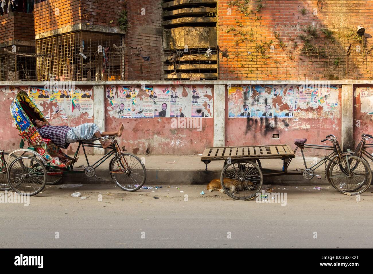 Dog rickshaw hi-res stock photography and images - Alamy