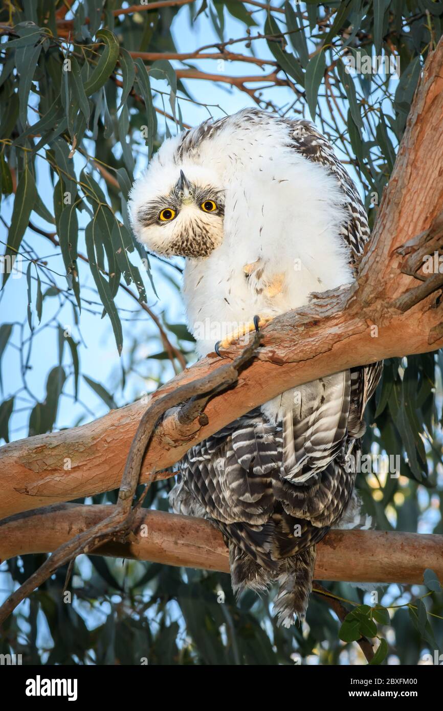 Different perspective hi-res stock photography and images - Alamy