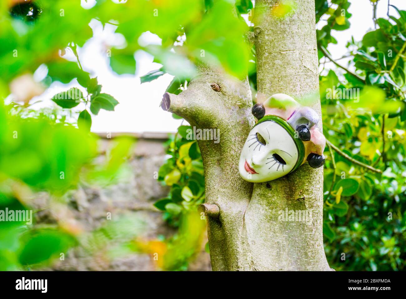 human face baked clay mask on a tree in a garden UK Stock Photo - Alamy
