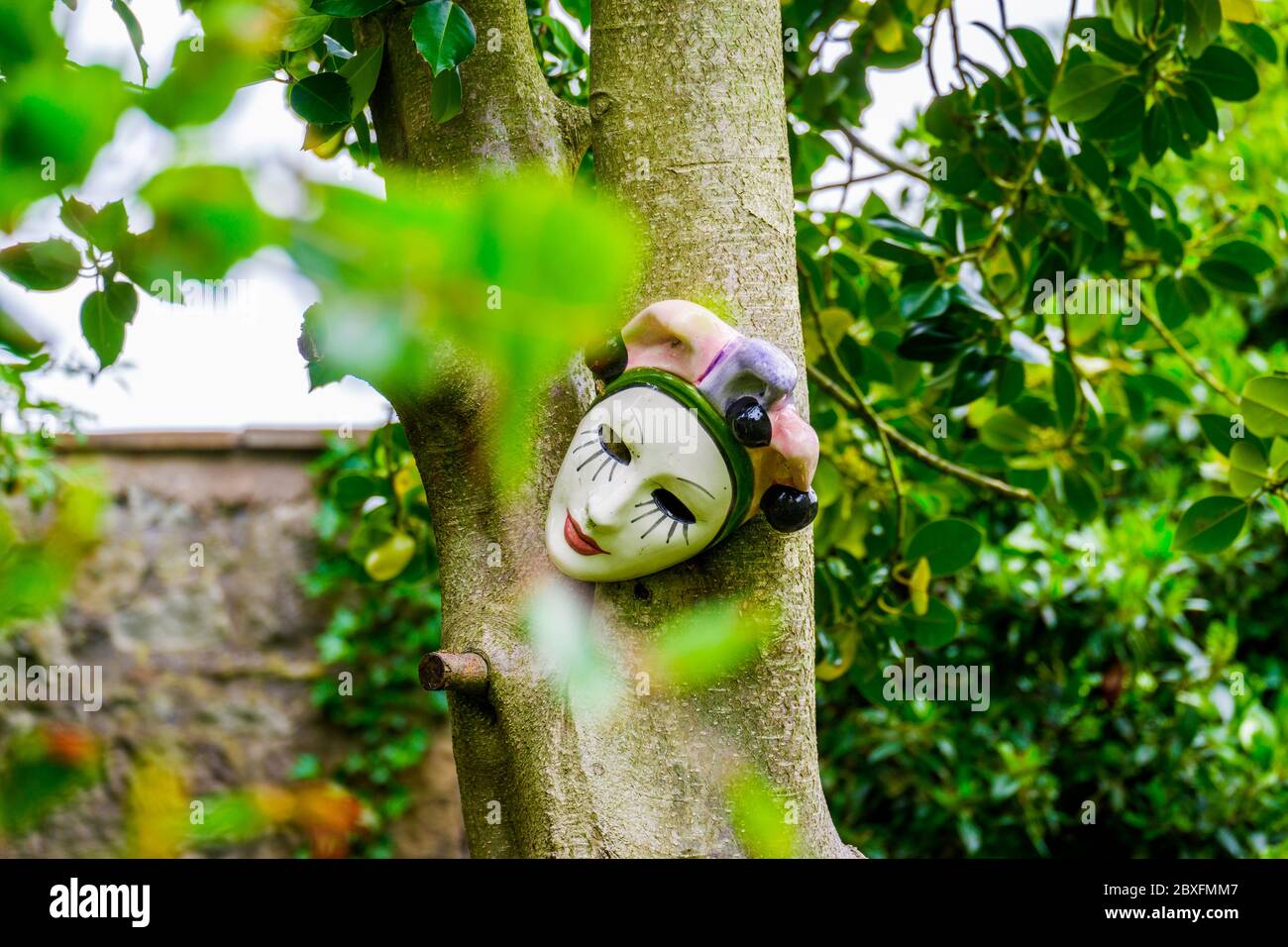 human face baked clay mask on a tree in a garden UK Stock Photo - Alamy