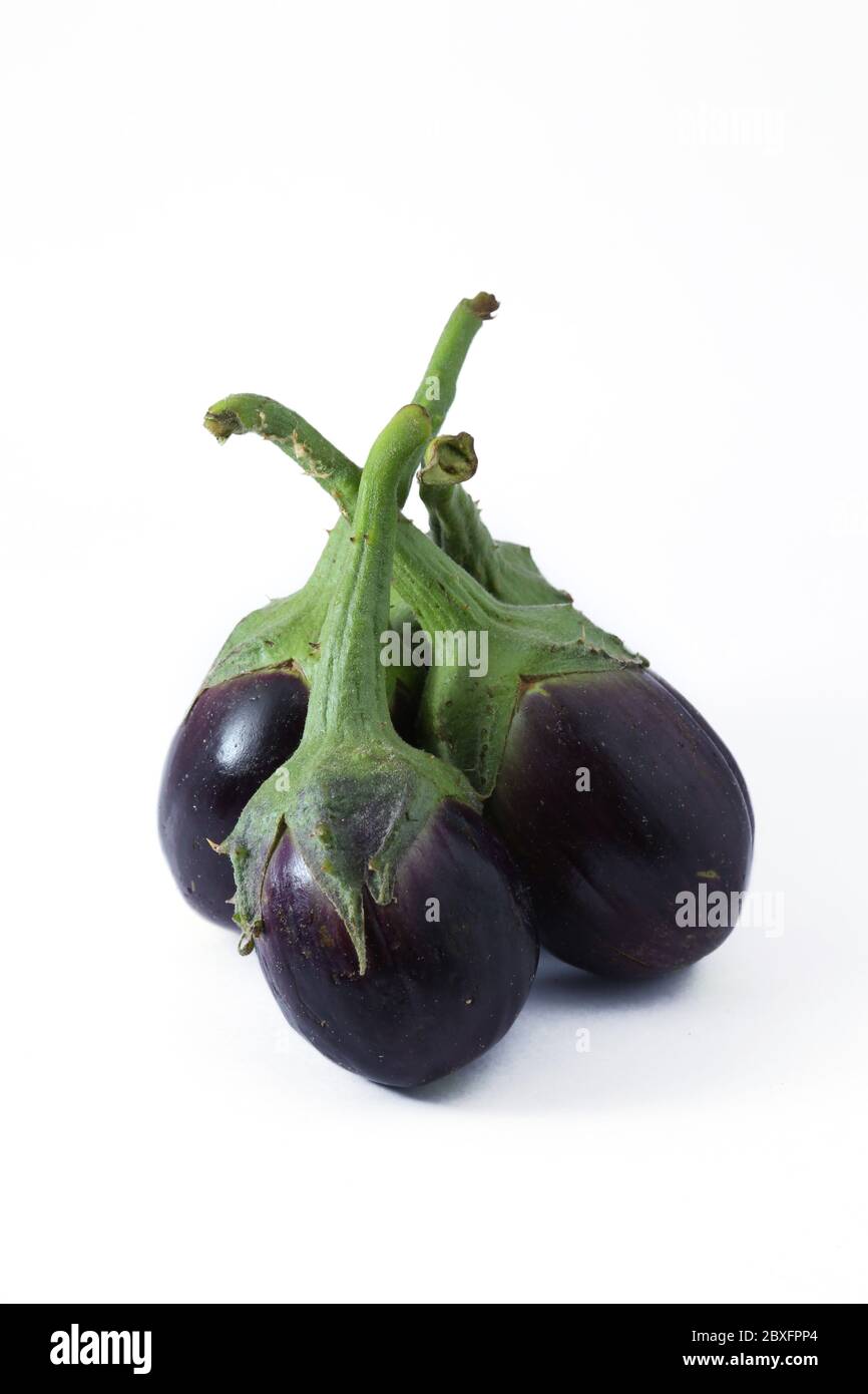 White brinjal hi-res stock photography and images - Alamy