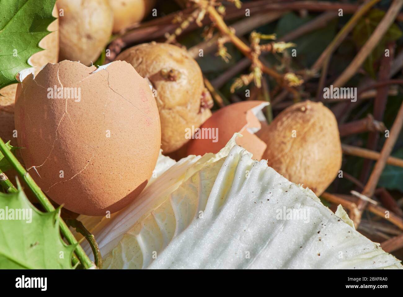 View into a bio container with various organic wastes such as potato ...