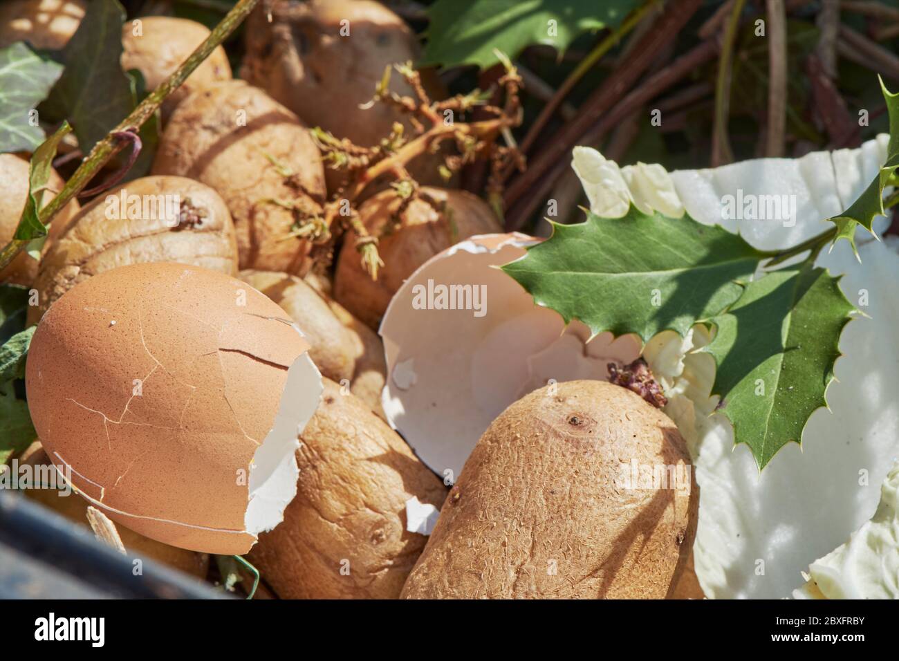 View into a bio container with various organic wastes such as potato ...