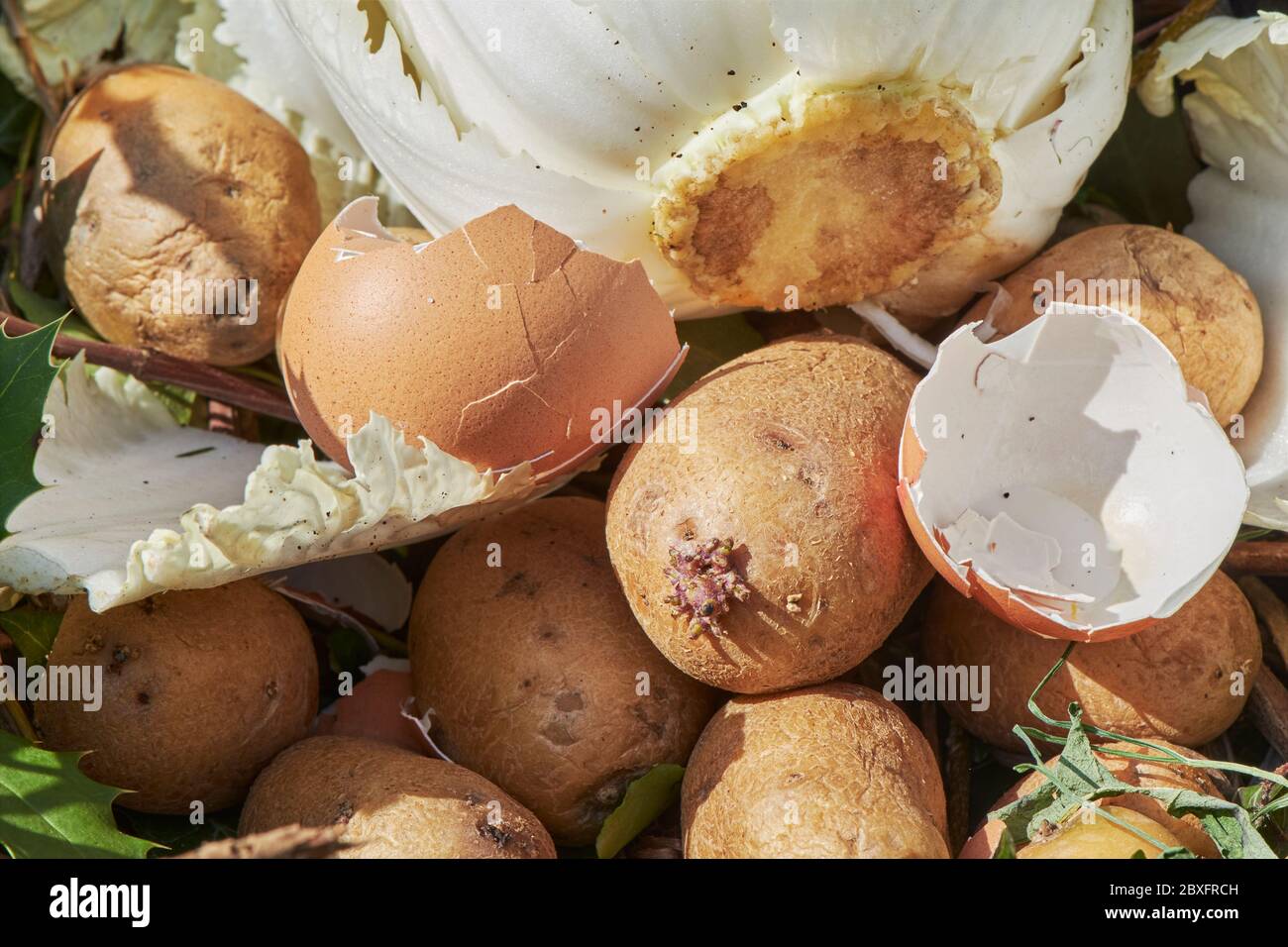 View into a bio container with various organic wastes such as potato ...