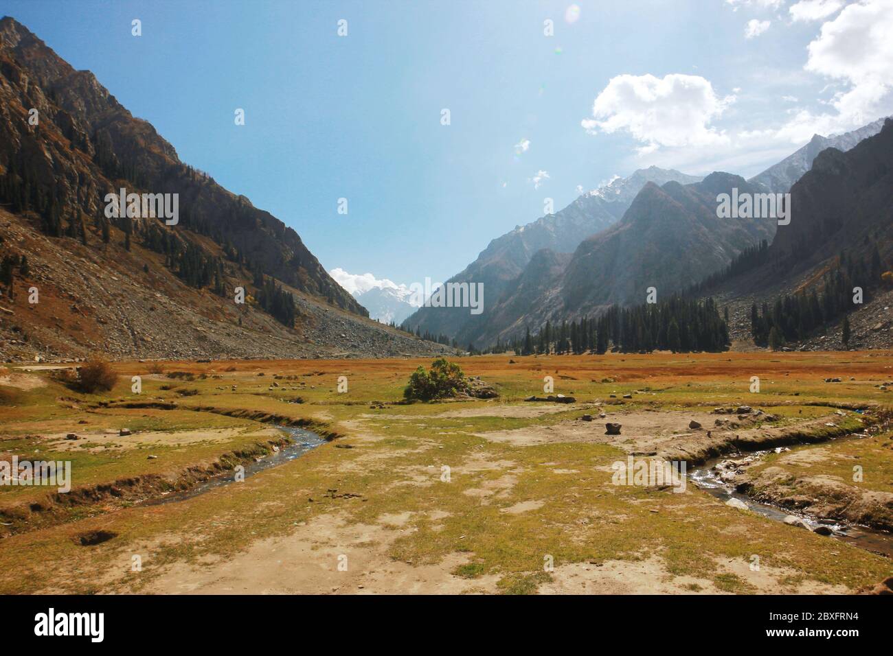Swat valley forest hi-res stock photography and images - Alamy