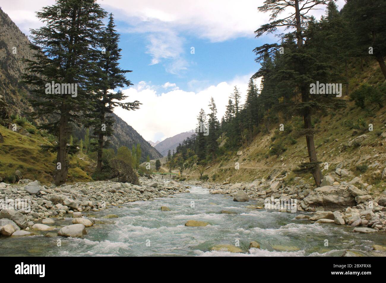 Swat valley tree hi-res stock photography and images - Alamy