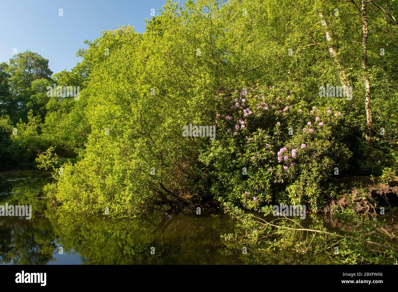 Keston greater london hi-res stock photography and images - Alamy