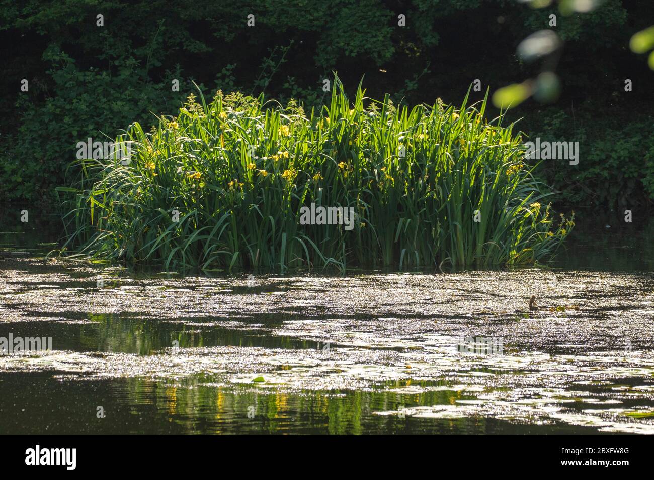 Keston village hi-res stock photography and images - Alamy