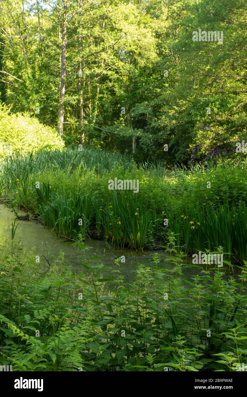 Keston village hi-res stock photography and images - Alamy