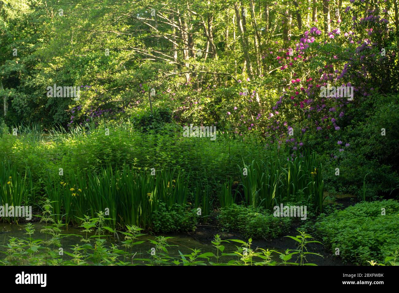 Keston village hi-res stock photography and images - Alamy