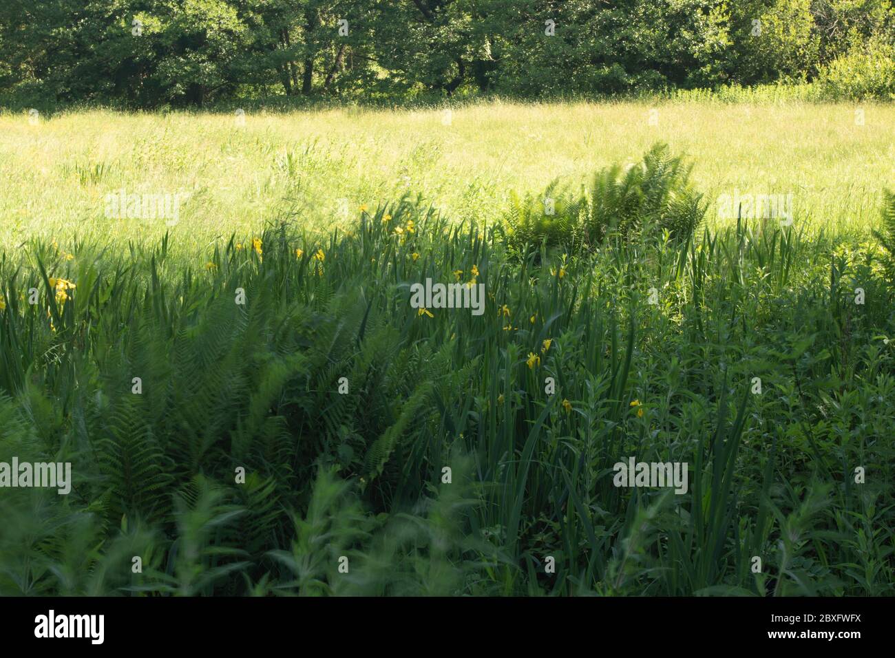 Keston village hi-res stock photography and images - Alamy