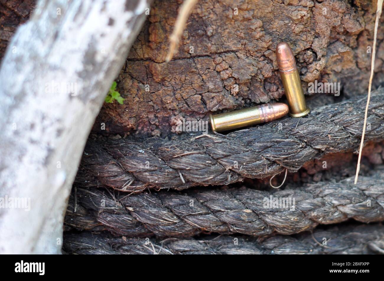150 gun hi-res stock photography and images - Alamy