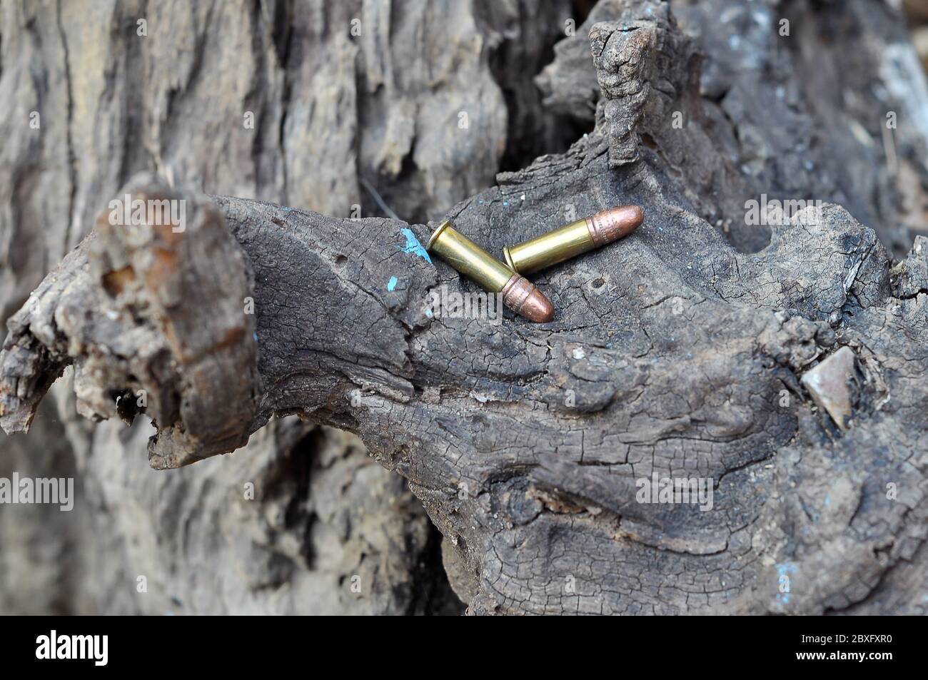 150 gun hi-res stock photography and images - Alamy
