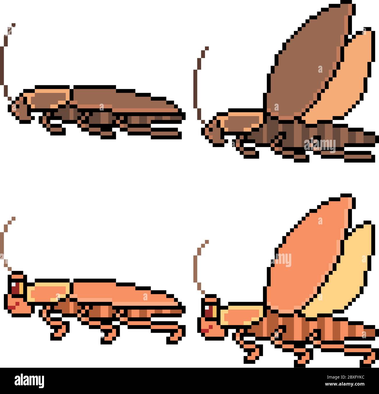 Cockroach vector vectors hi-res stock photography and images - Alamy