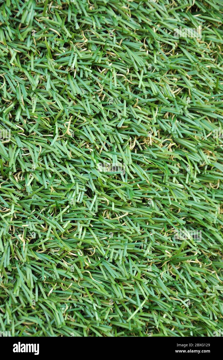Plan view of artificial turf on the floor Stock Photo - Alamy