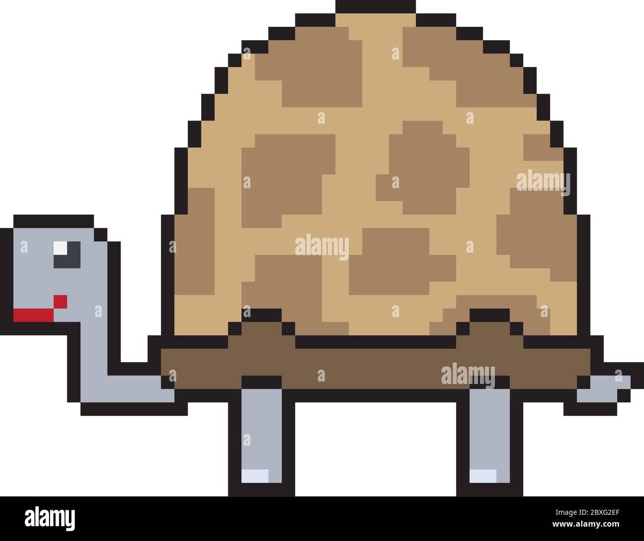 Side shell Stock Vector Images - Alamy