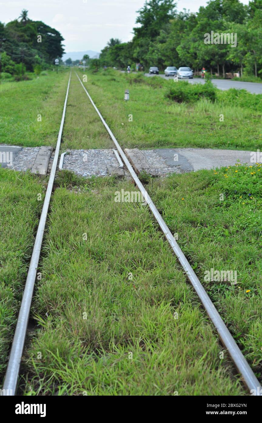 Railway tracks with grass covered up, but still can be used normally ...