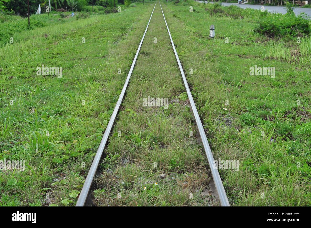 Railway tracks with grass covered up, but still can be used normally ...