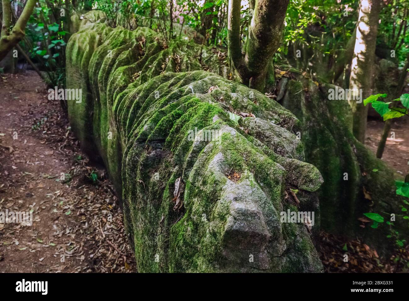 Labyrinth Rocks in Takaka, South Island, New Zealand Stock Photo - Alamy