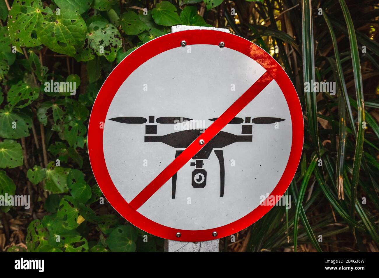 No drone zone sign on the tree. Drone flights prohibited in Paparoa ...