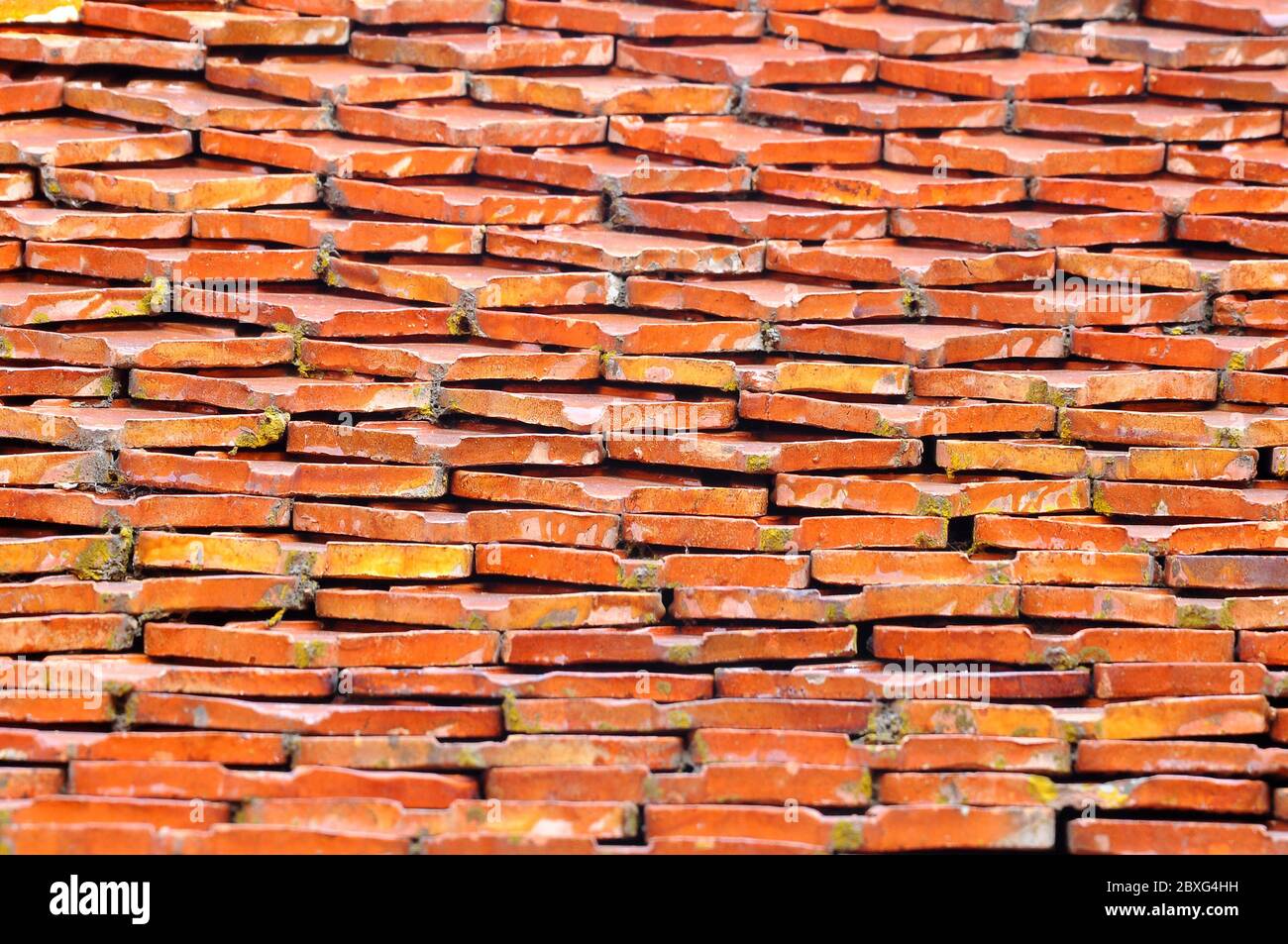 Cross sectional view hi-res stock photography and images - Alamy