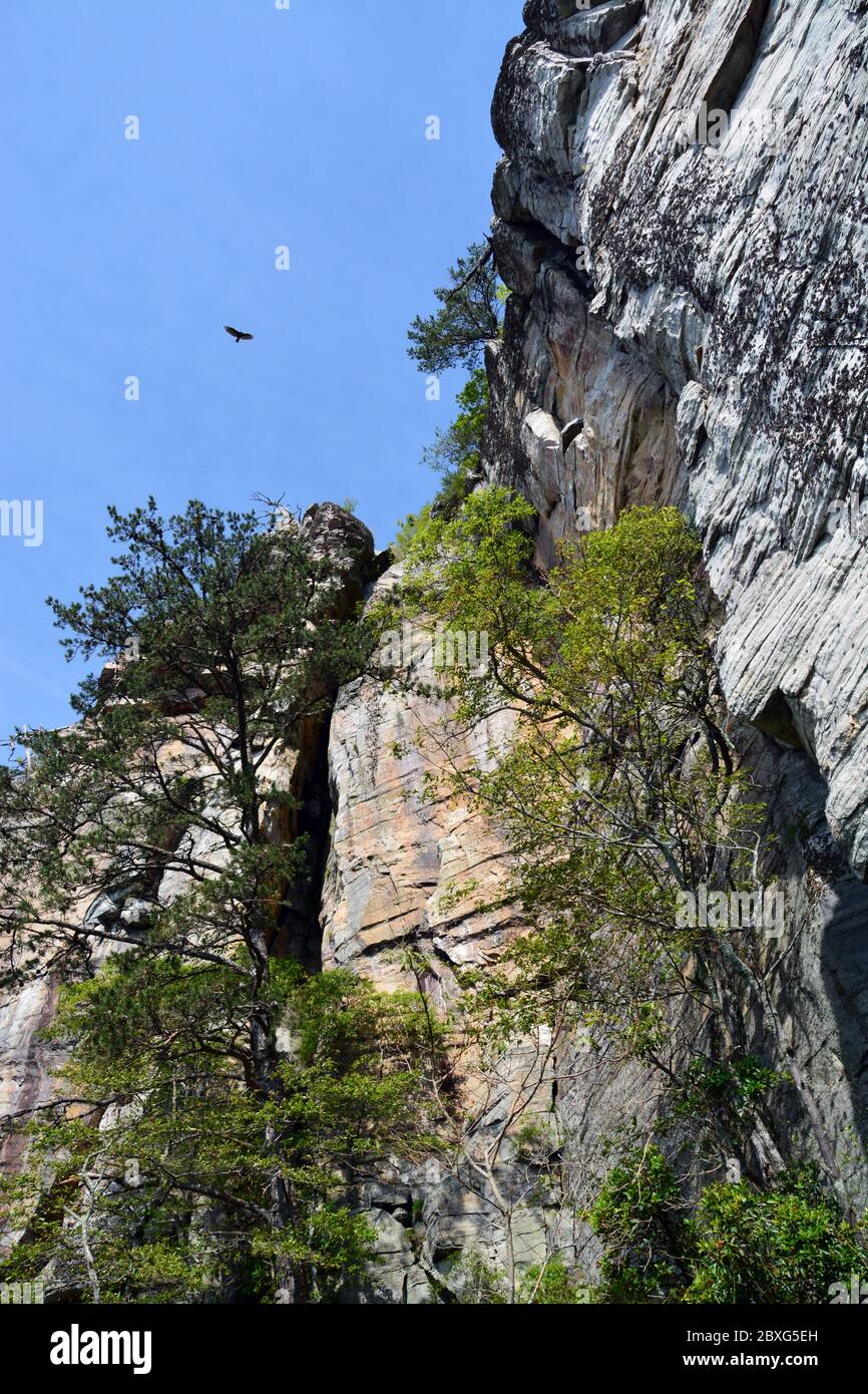Looking up the cliff face on Jomeokee Trail, which circles the iconic ...