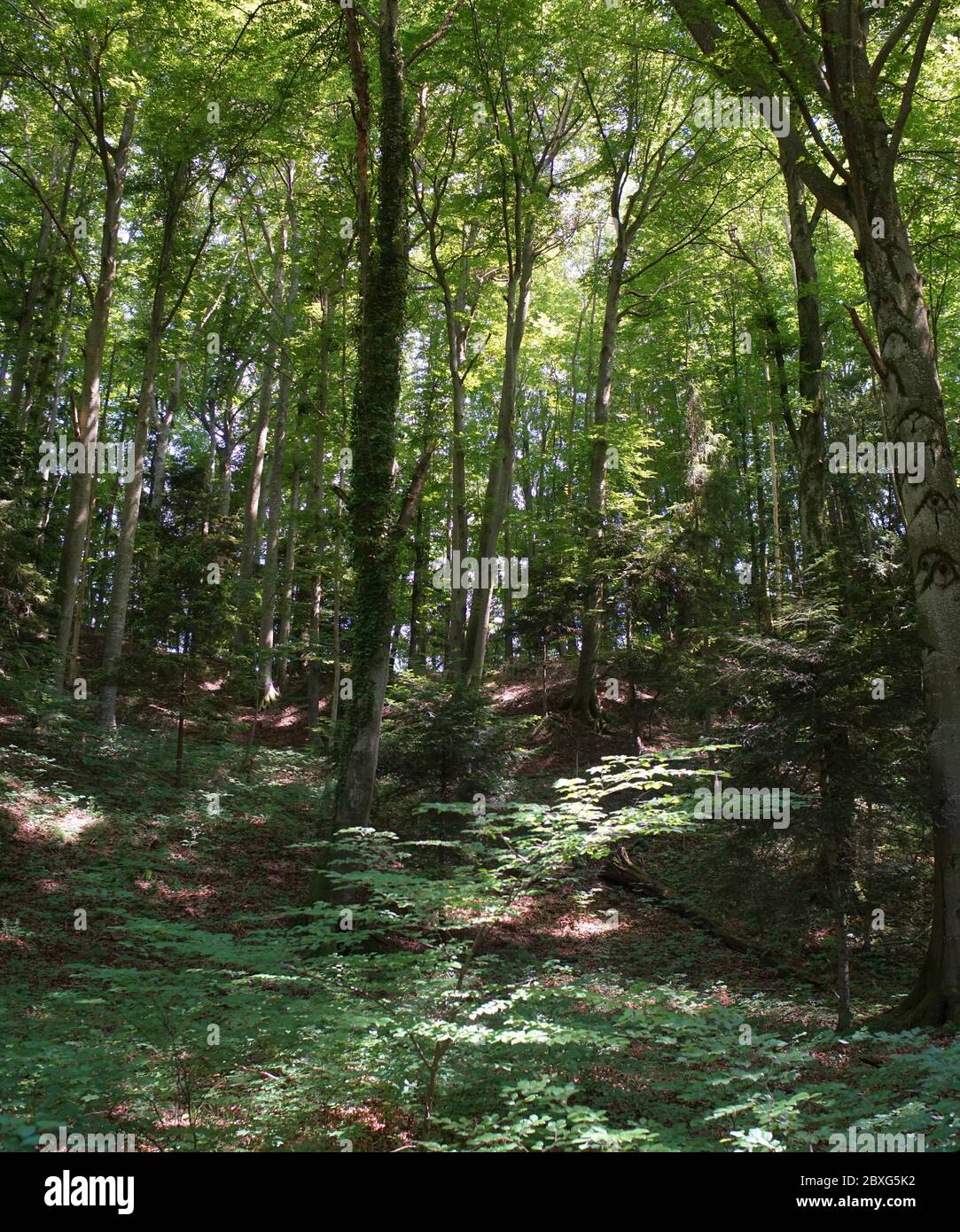 Spring in Bavaria Stock Photo - Alamy