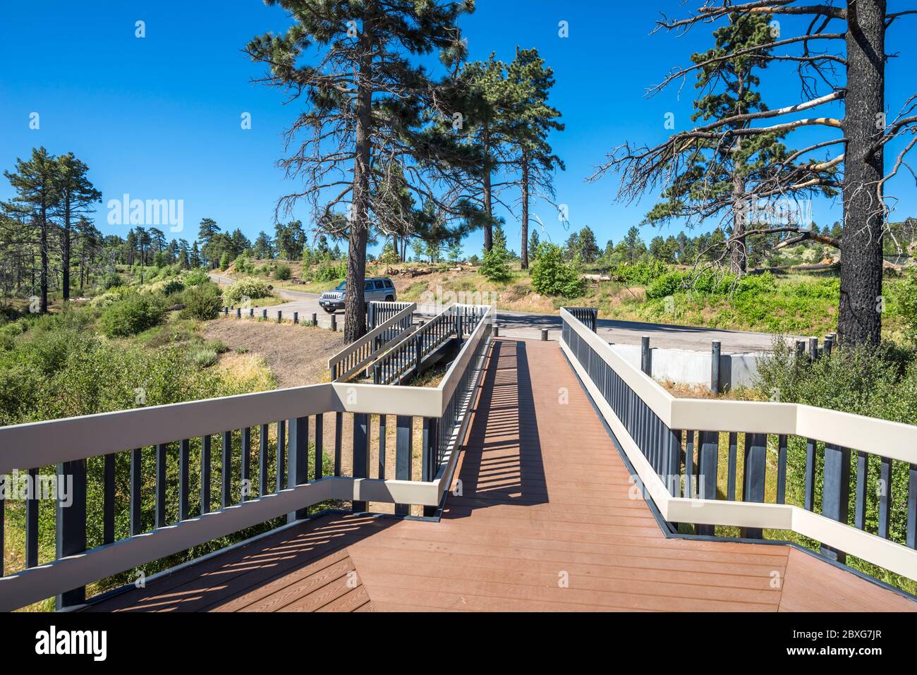 Platform at the Storm Canyon Vista overlook. Mount Laguna, San Diego ...