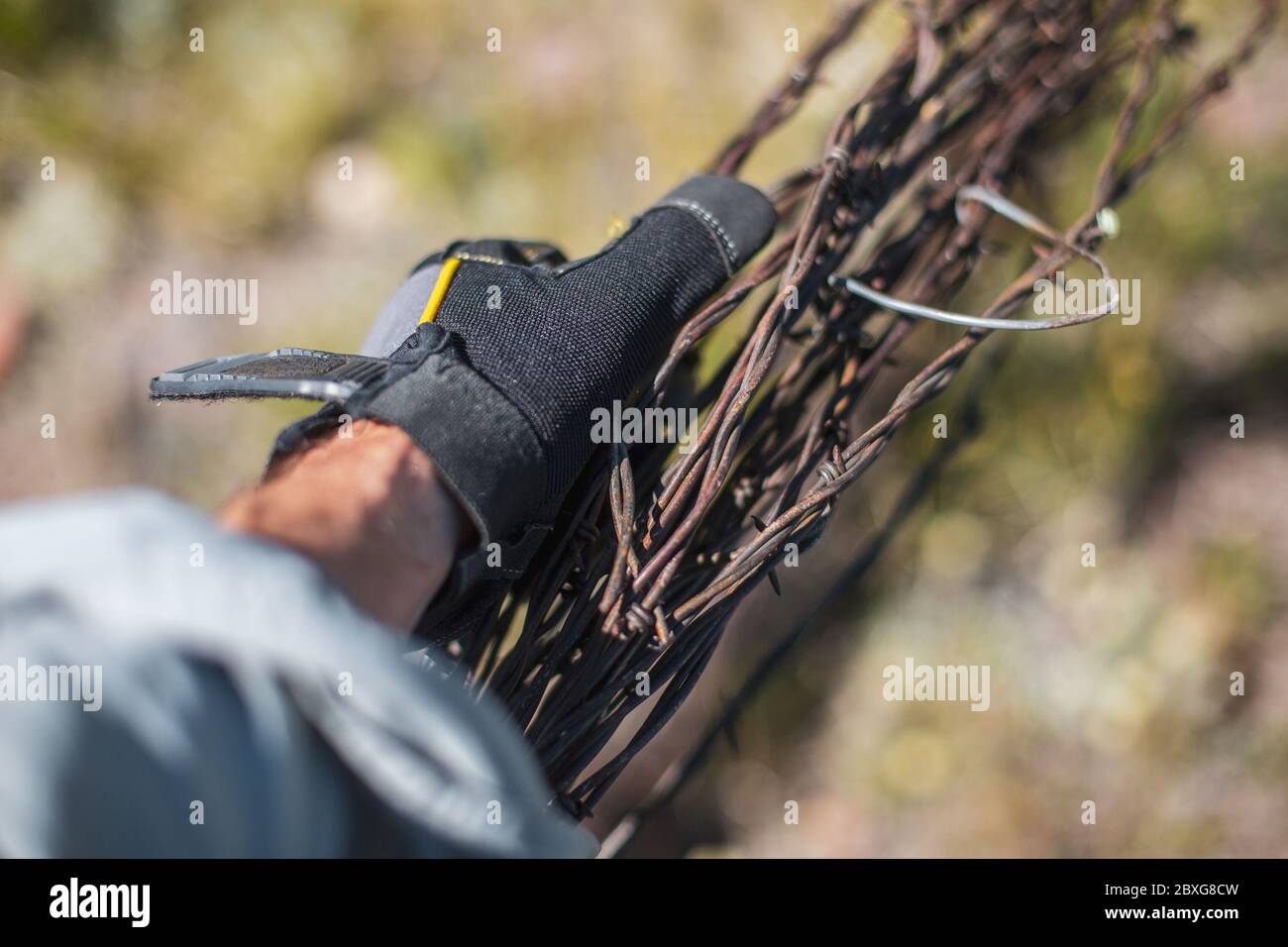 Spool of barbed wire hi-res stock photography and images - Alamy