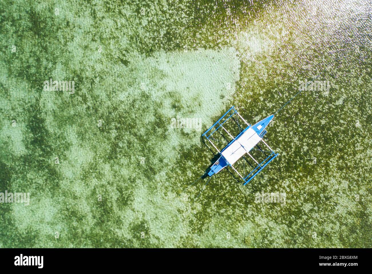 Coral Reef High Resolution Stock Photography and Images - Alamy
