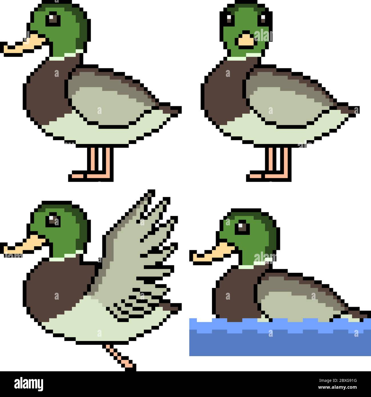 Duck pixel hi-res stock photography and images - Alamy