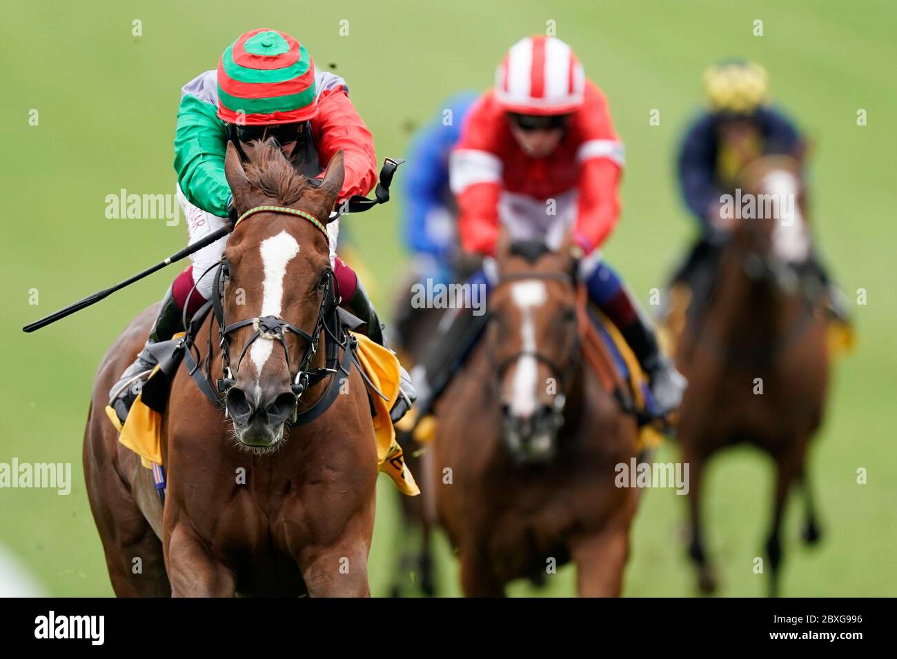 Polly murphy hi-res stock photography and images - Alamy