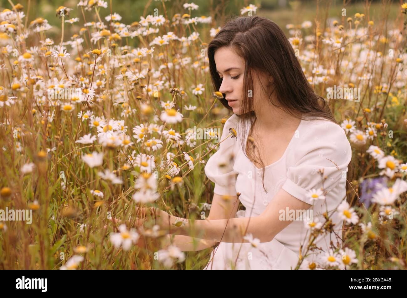 Girl collecting flowers hi-res stock photography and images - Alamy